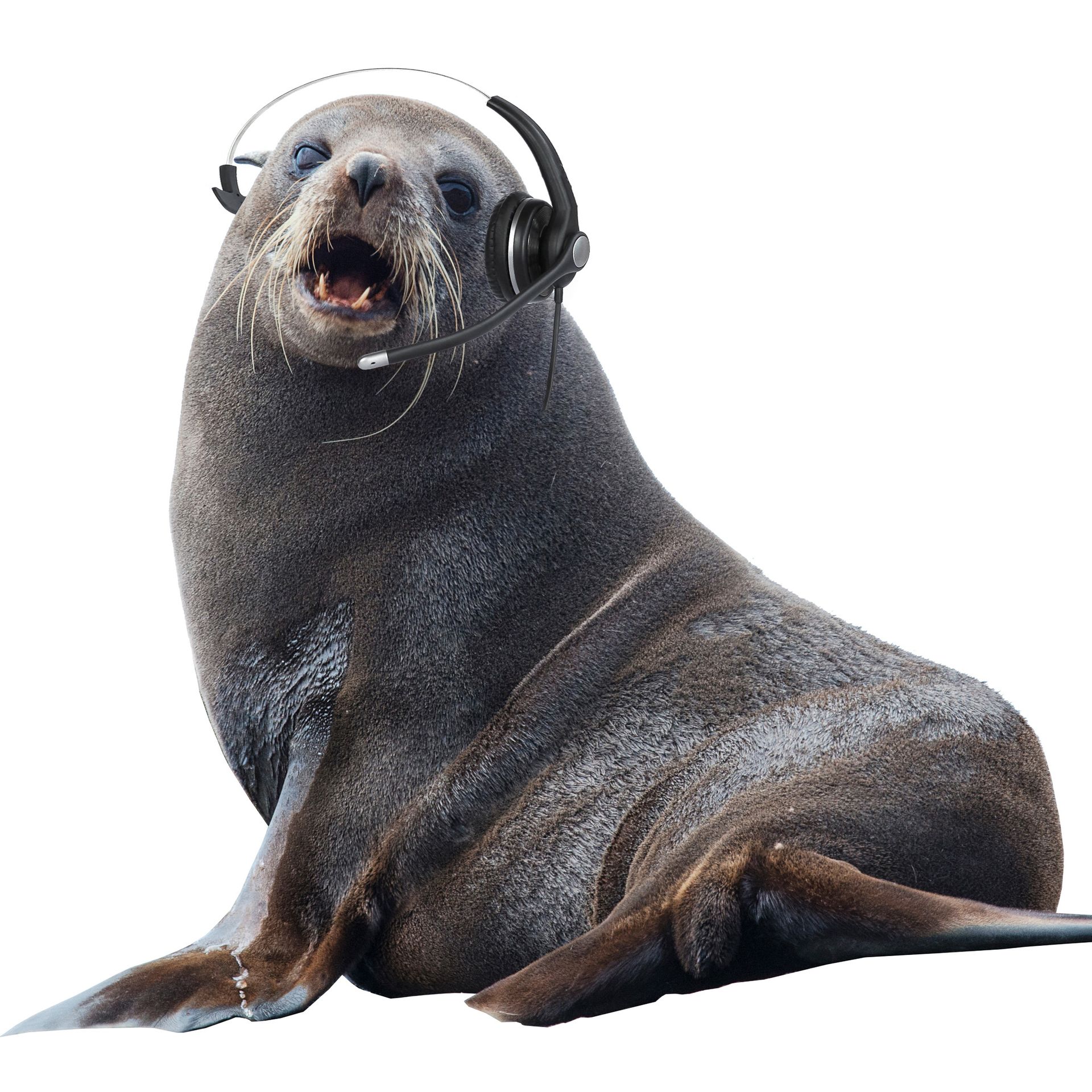 About Us | Seals Direct