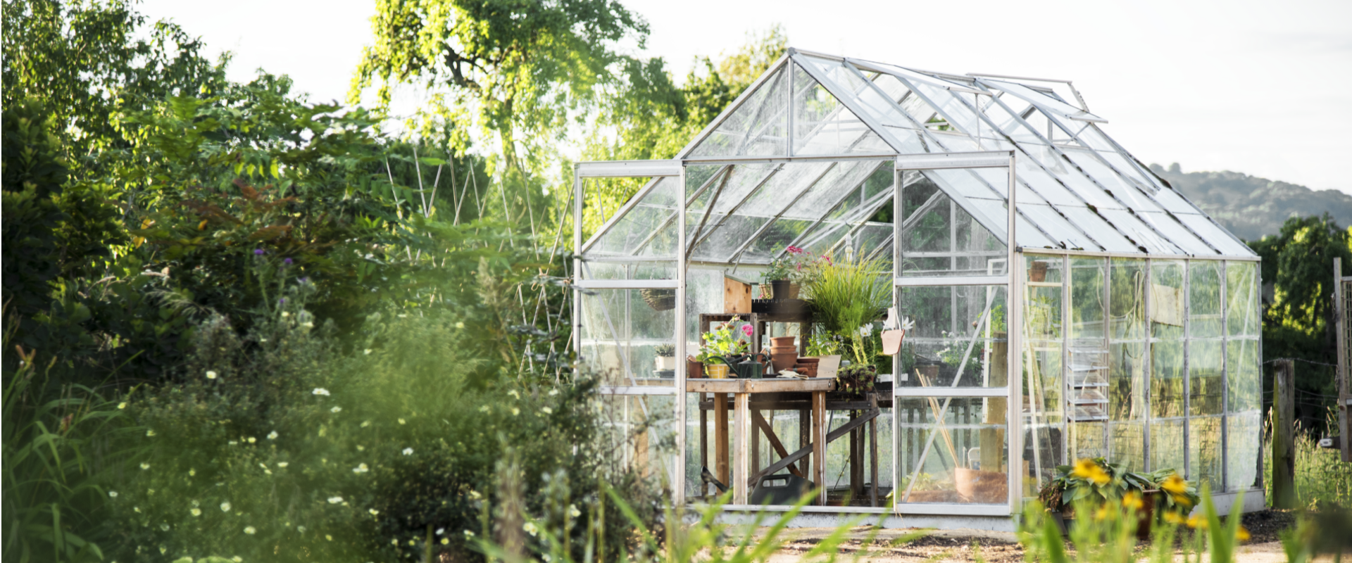 Crittall & Baco Greenhouse Glazing Seals | Seals Direct